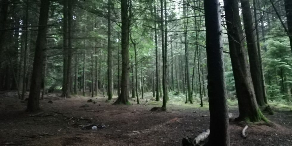 Ballyhooly Castle | Ballyhooly Co. Cork